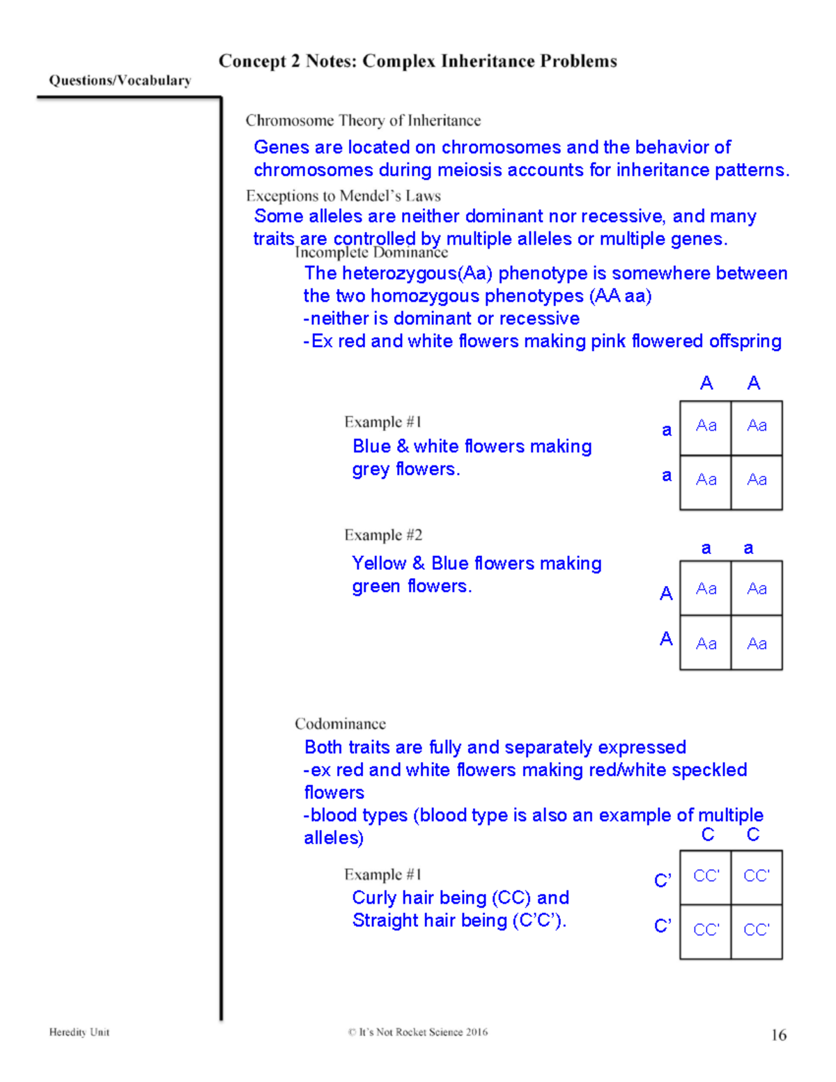 Genetics Class Notes - Genes are located on chromosomes and the ...