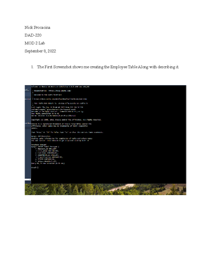 MGT 200 5-3 Project 2 Nick Procacina - Nick Procacina SNHU MGT-200 ...