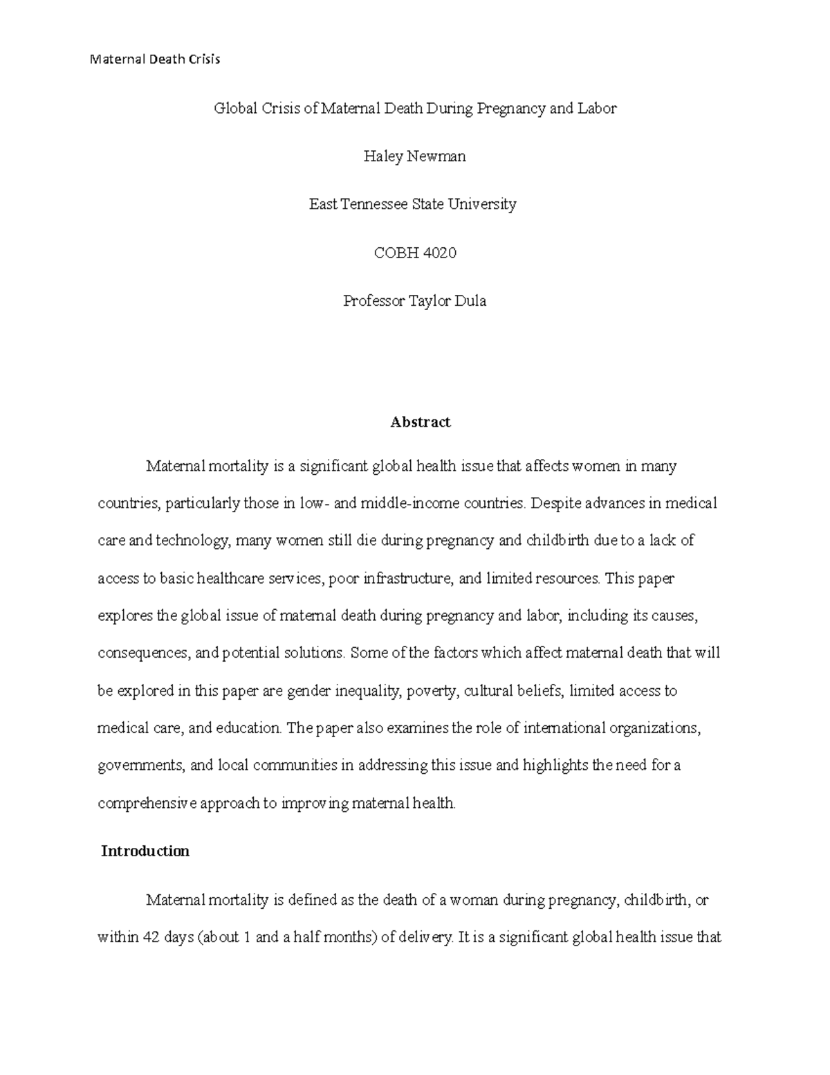 Research Paper Final - Global Crisis of Maternal Death During Pregnancy ...