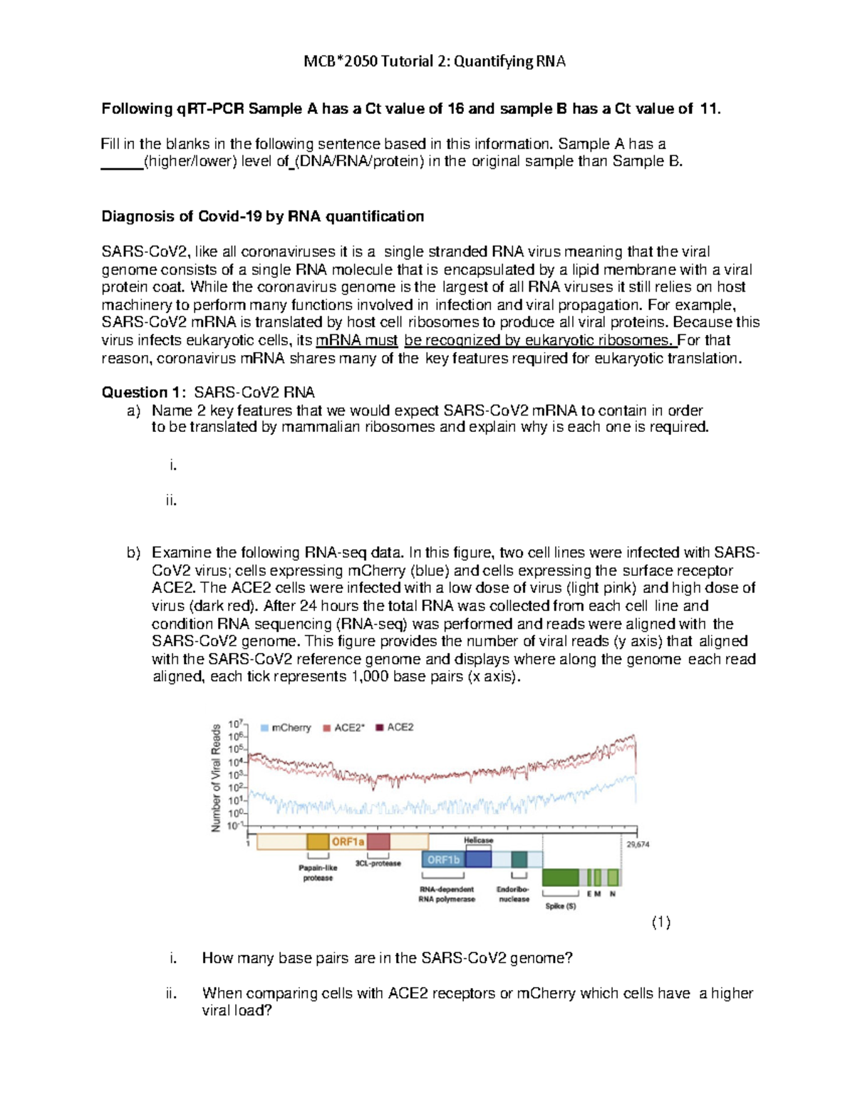 RNA processing Seminar 2 PDF - Following qRT-PCR Sample A has a Ct ...