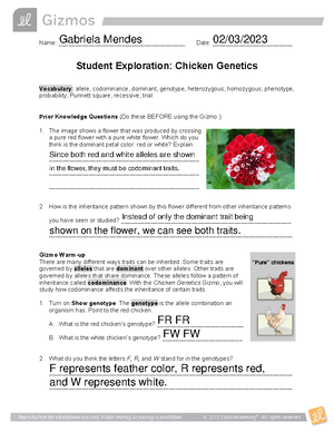 PBS Evolution Great Transformations - Name ...