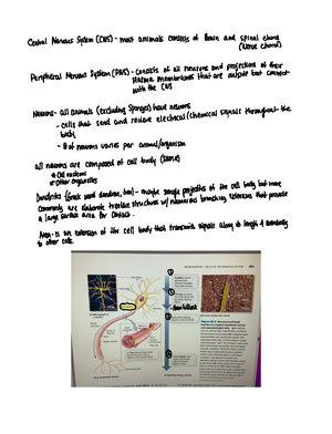 Note Sep 1, 2022 - notes - Fertilized eggs Begginingof totefor Animal ...