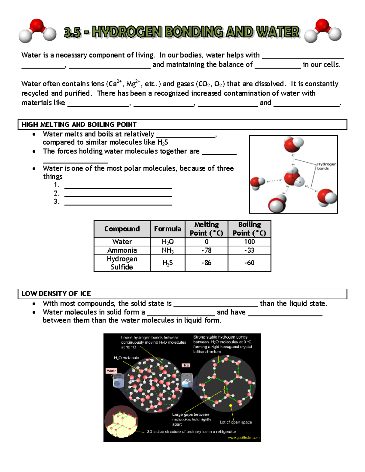 3.5 Hydrogen Bonding AND Water - Student Handout - Water is a necessary ...