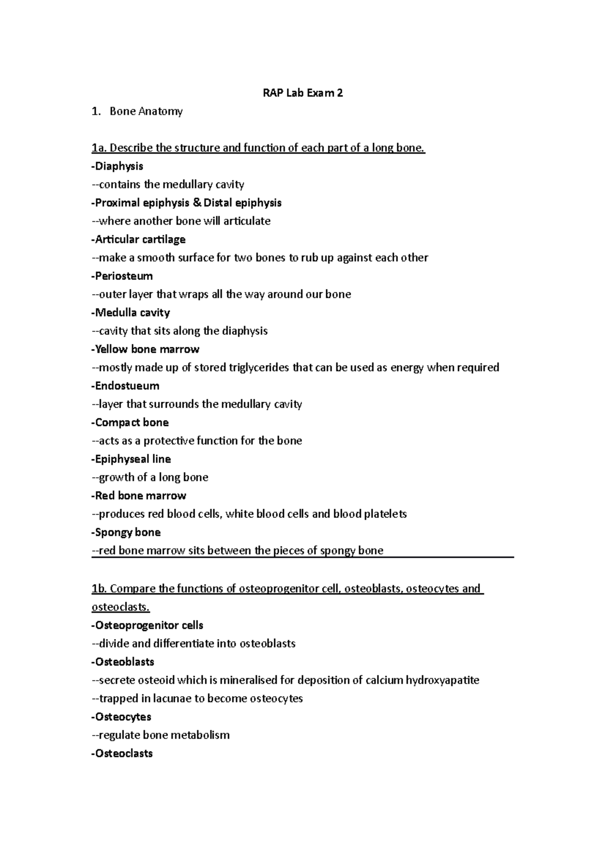 RAP Lab Exam 2 Notes - RAP Lab Exam 2 Bone Anatomy 1a. Describe the ...