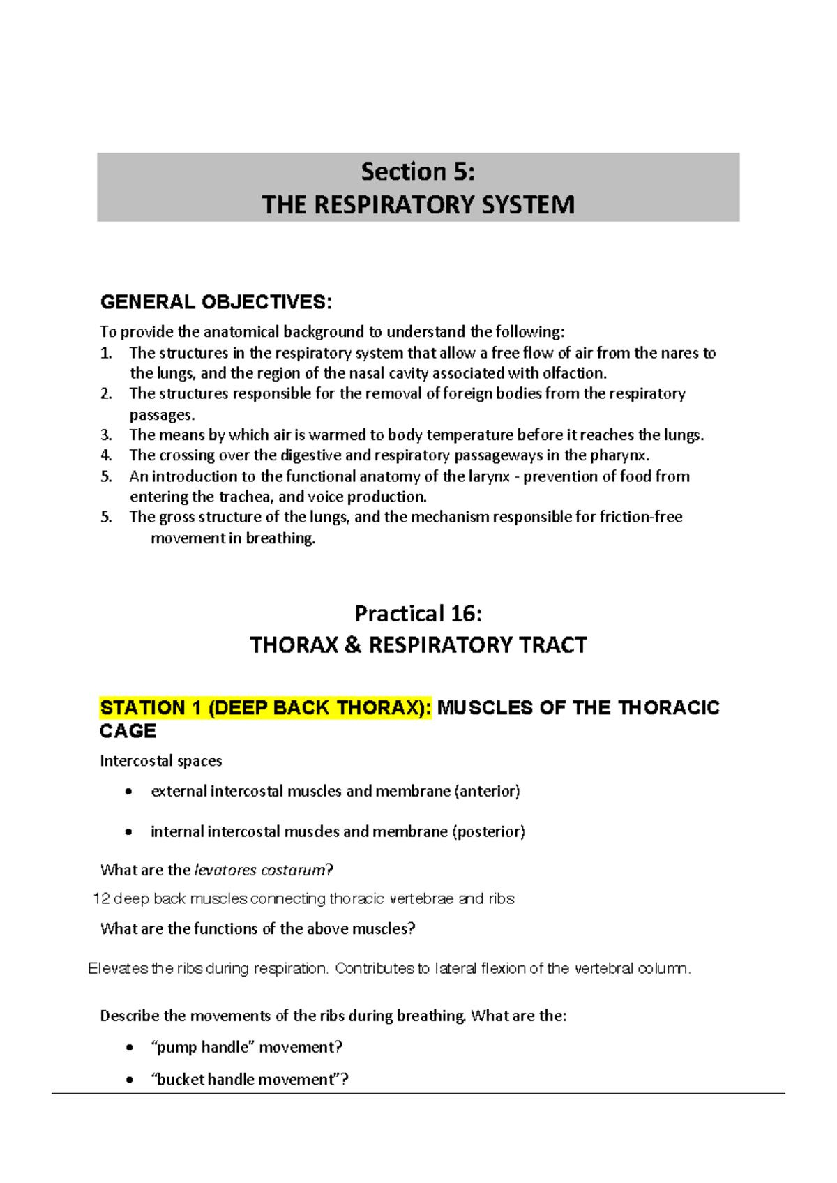 Prac 16 - Respiratory notes - Section 5: THE RESPIRATORY SYSTEM GENERAL ...