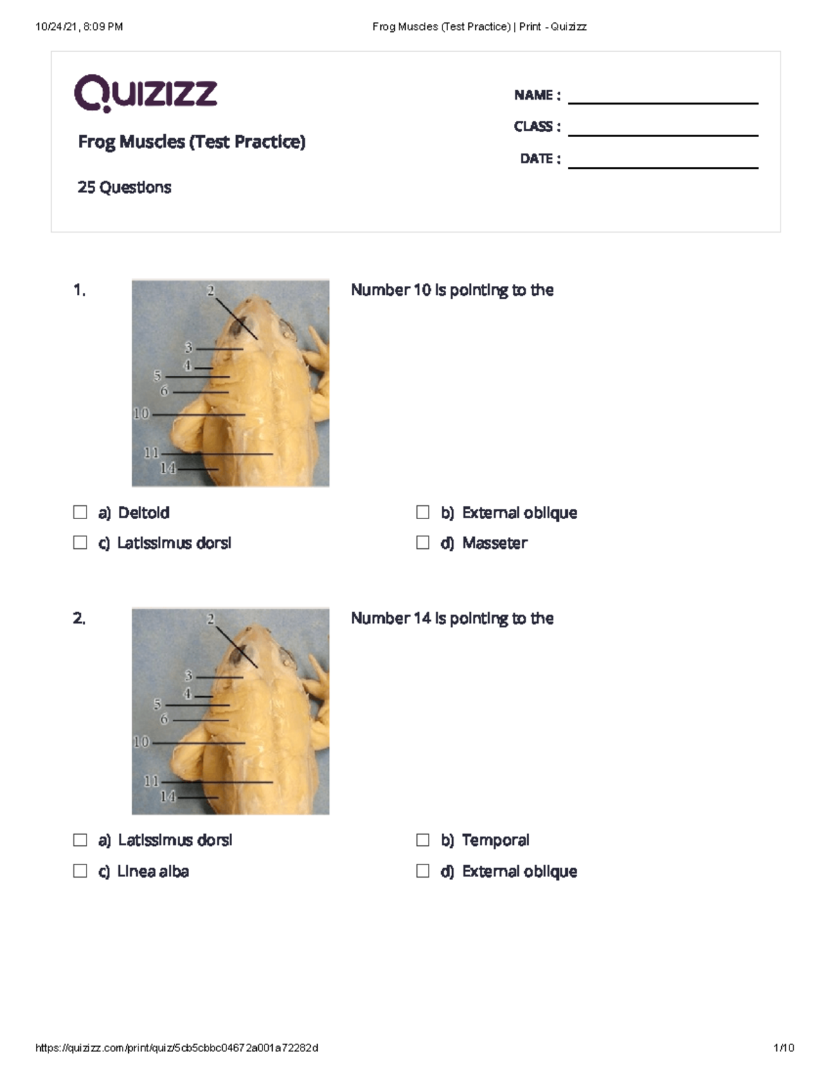 Practice TEST FOR FROG Muscular System WITH Answer - NAME : CLASS ...