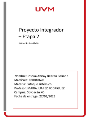 A3 JABG - Actividad 6 enfoque sistemico - Proyecto integrador – Etapa 1 Unidad 2 – Actividad 3 ...