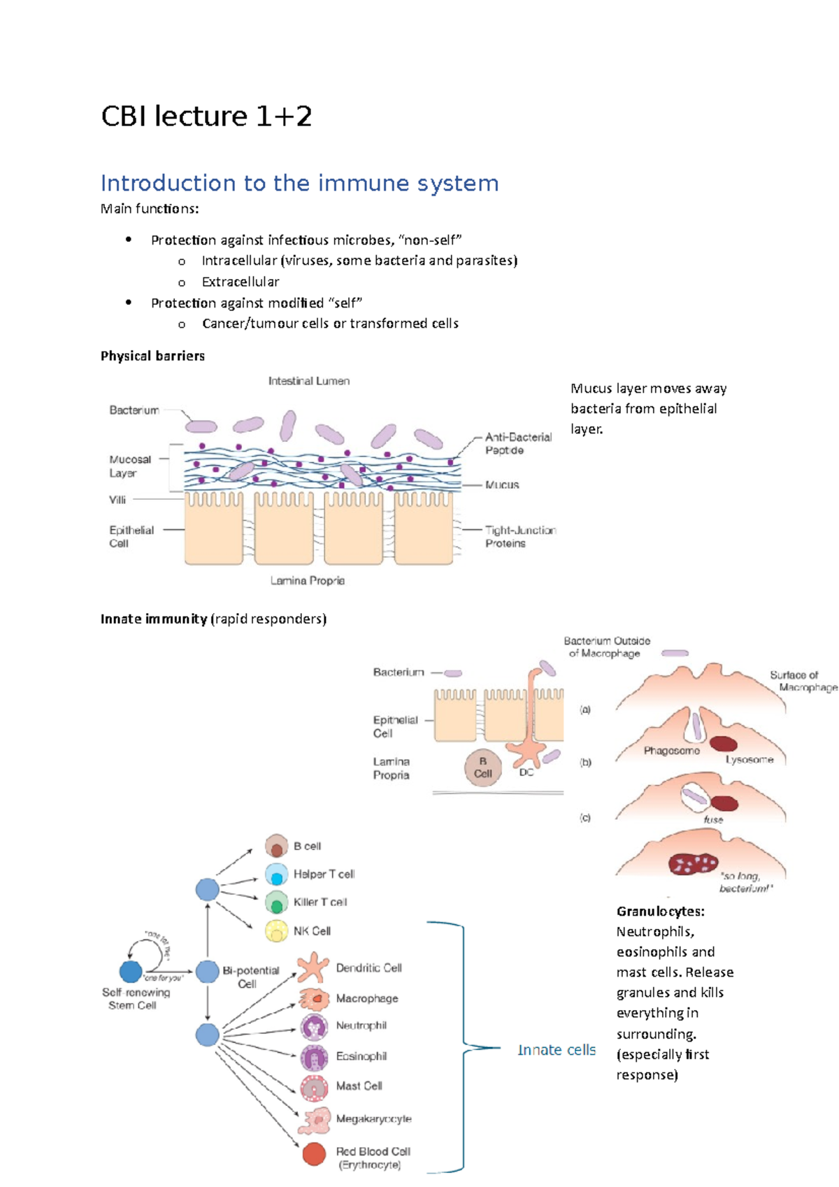 Lecture 1+2 - CBI lecture 1+ Introduction to the immune system Main ...
