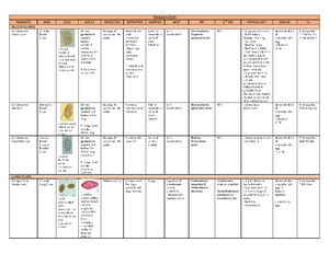 Chemical Urinalysis by Reagent Strip - RT TEST NORMAL PRINCIPLE ...