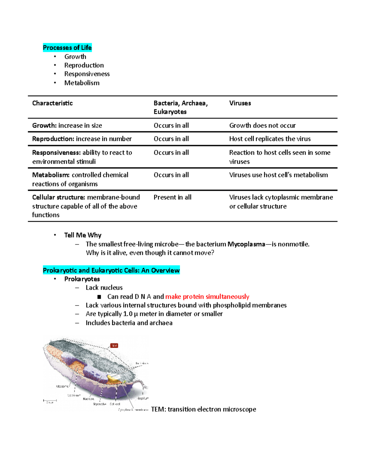 Microbio ch 3 notes - Processes of Life - Growth - Reproduction ...