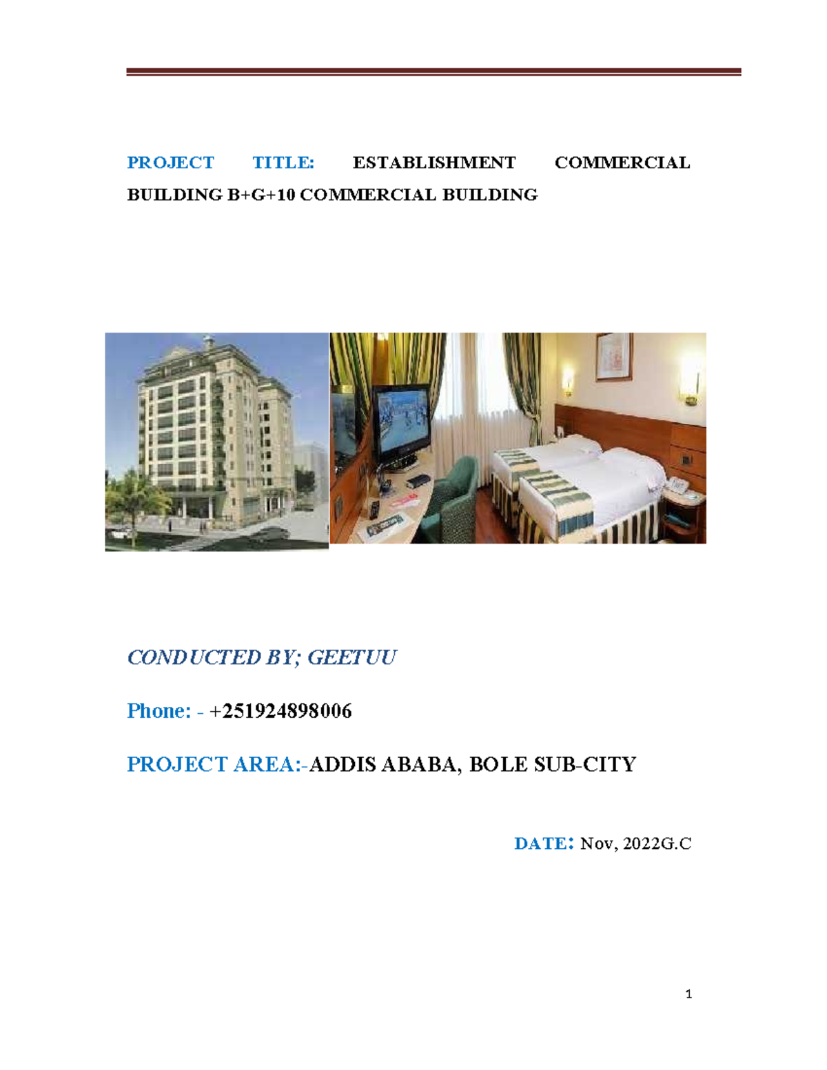 Geetuu feasibility study - PROJECT TITLE: ESTABLISHMENT COMMERCIAL ...