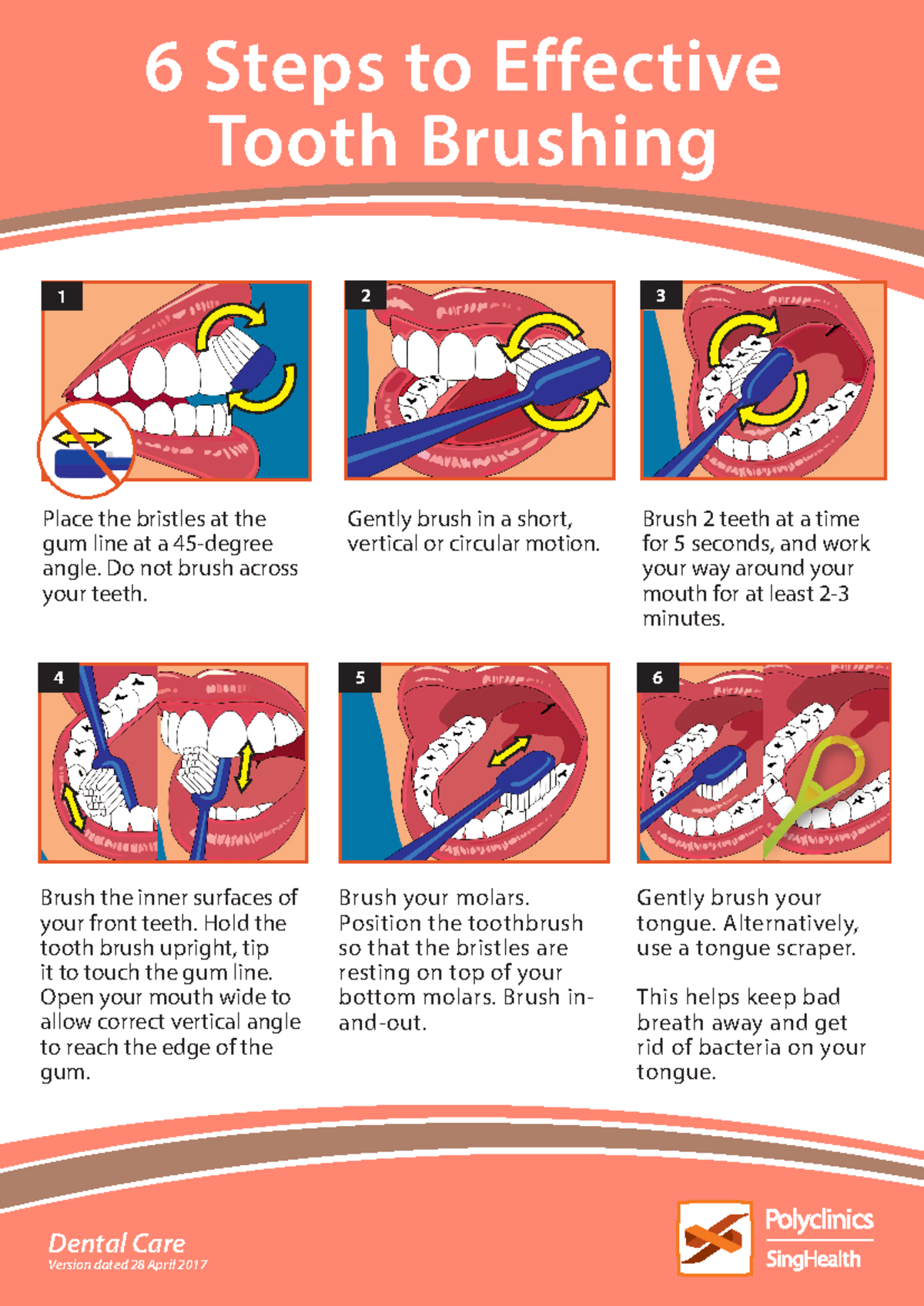Dental Flyer A14 - Medical Student - Gently brush in a short, vertical ...