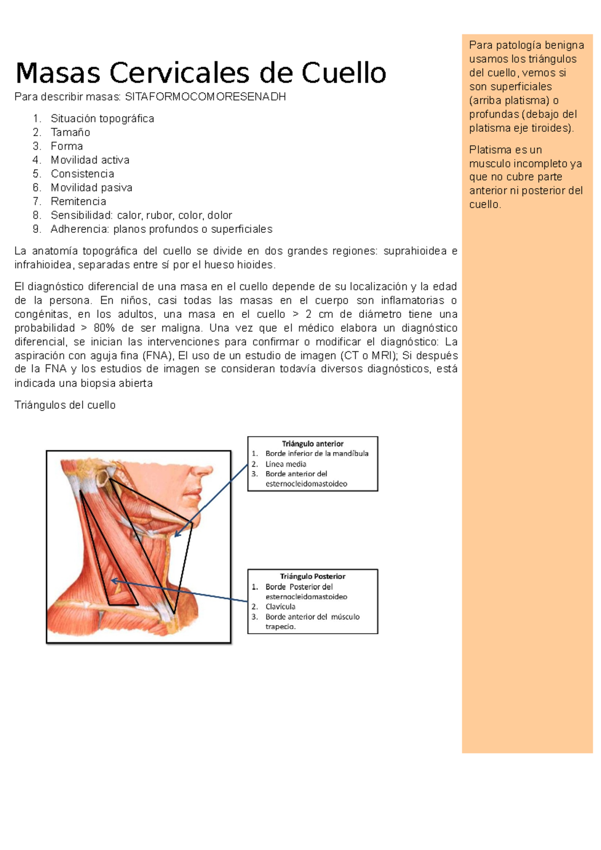 Resumen Cuello - Masas Cervicales de Cuello Para describir masas ...