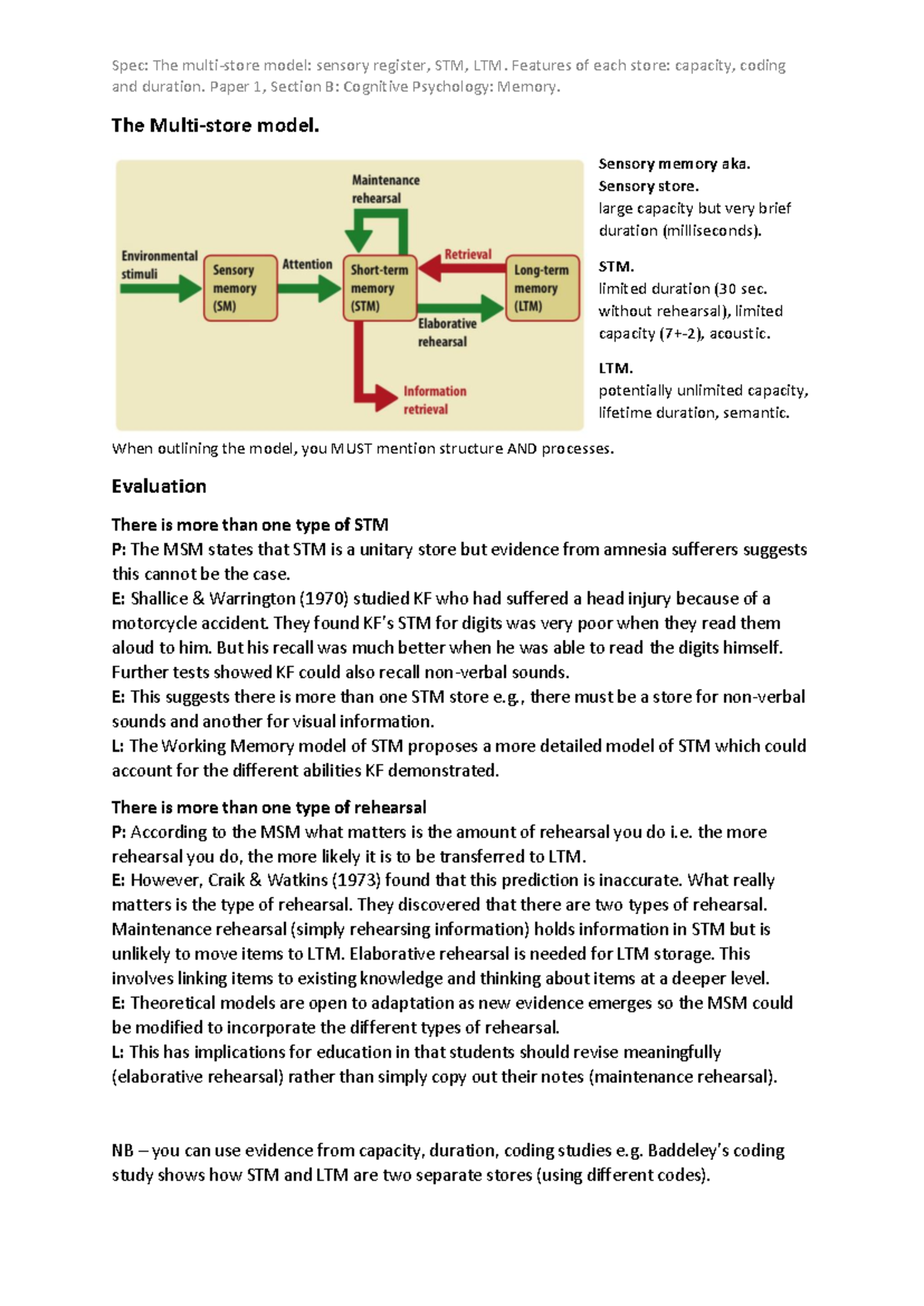 Memory notes - Spec: The multi-store model: sensory register, STM, LTM ...