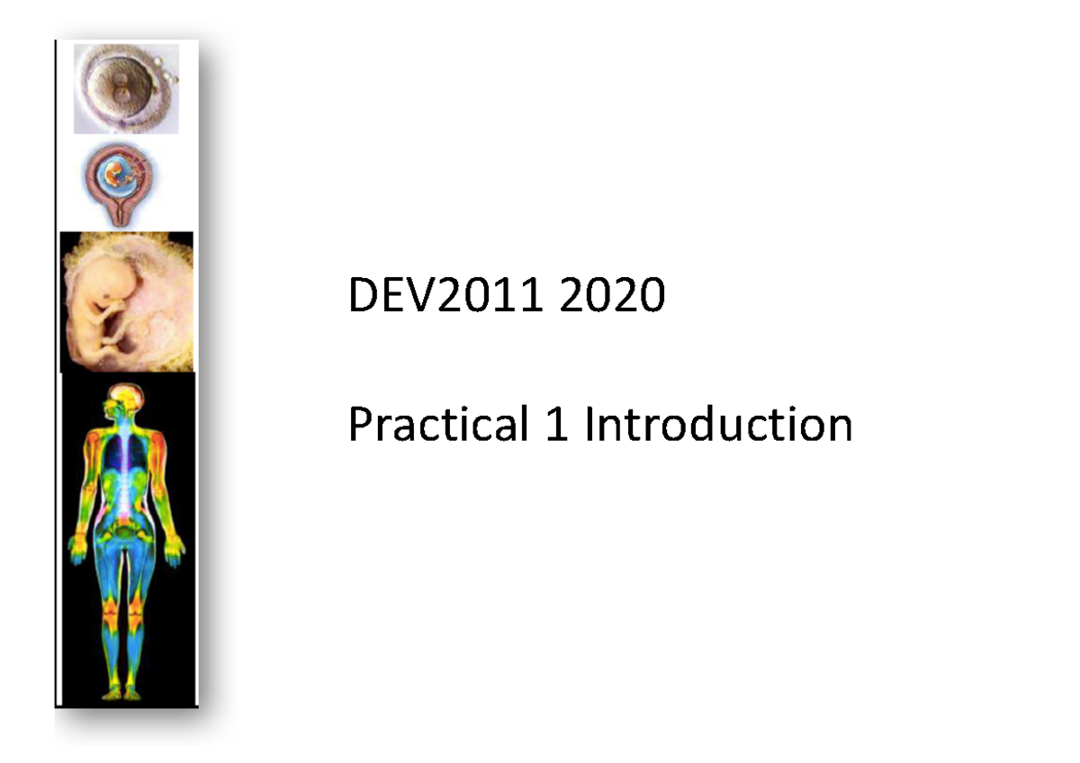 DEV2011 2020 Week 1 Practical Intro Cell Profile Report Update ...