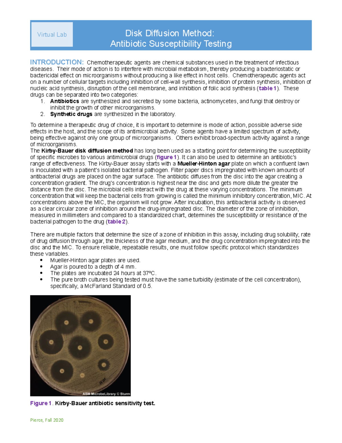 Antibiotic Susceptibility Virtual Lab - Disk Diffusion Method ...