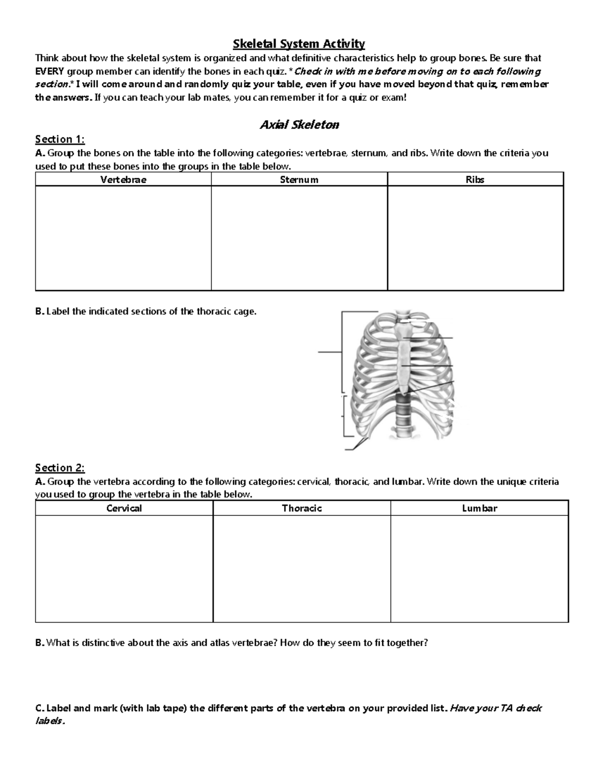 Axial-Student Packet F18-2 - Skeletal System Activity Think about how ...