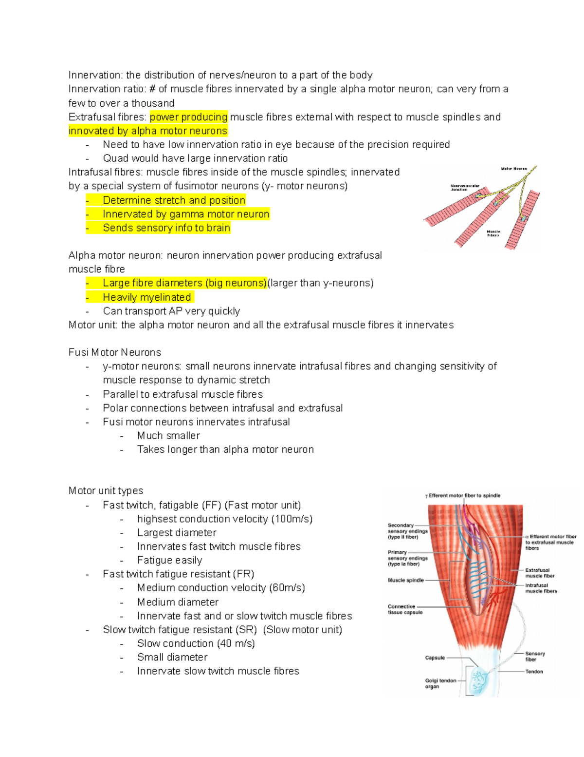 Lec 15 - Lecture notes - Innervation: the distribution of nerves/neuron ...