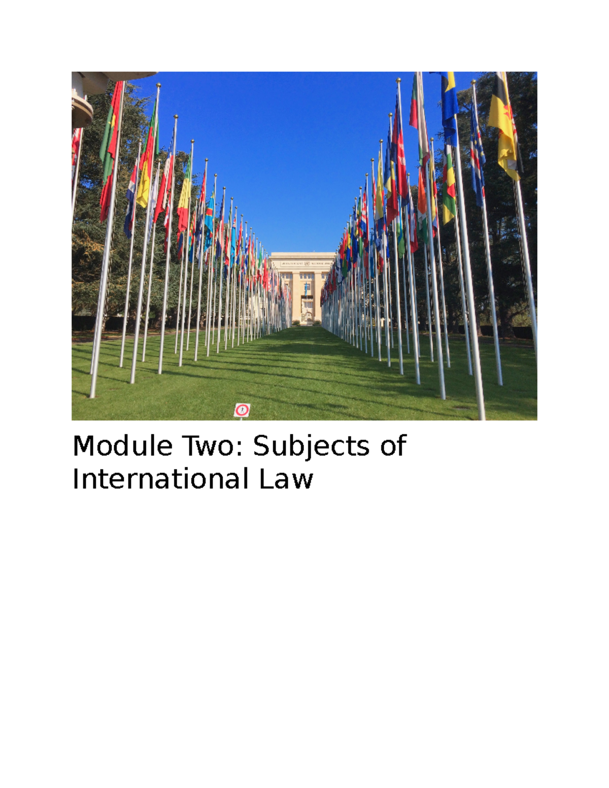 Module Two Subjects of International Law - Module Two: Subjects of ...