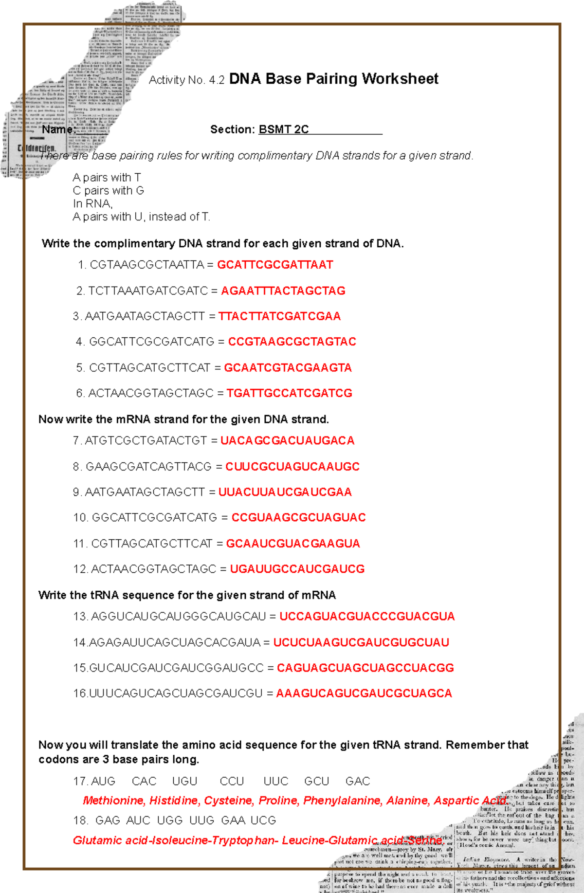 Activity No 4 2 DNA Base Pairing Activity No 4 DNA Base Pairing