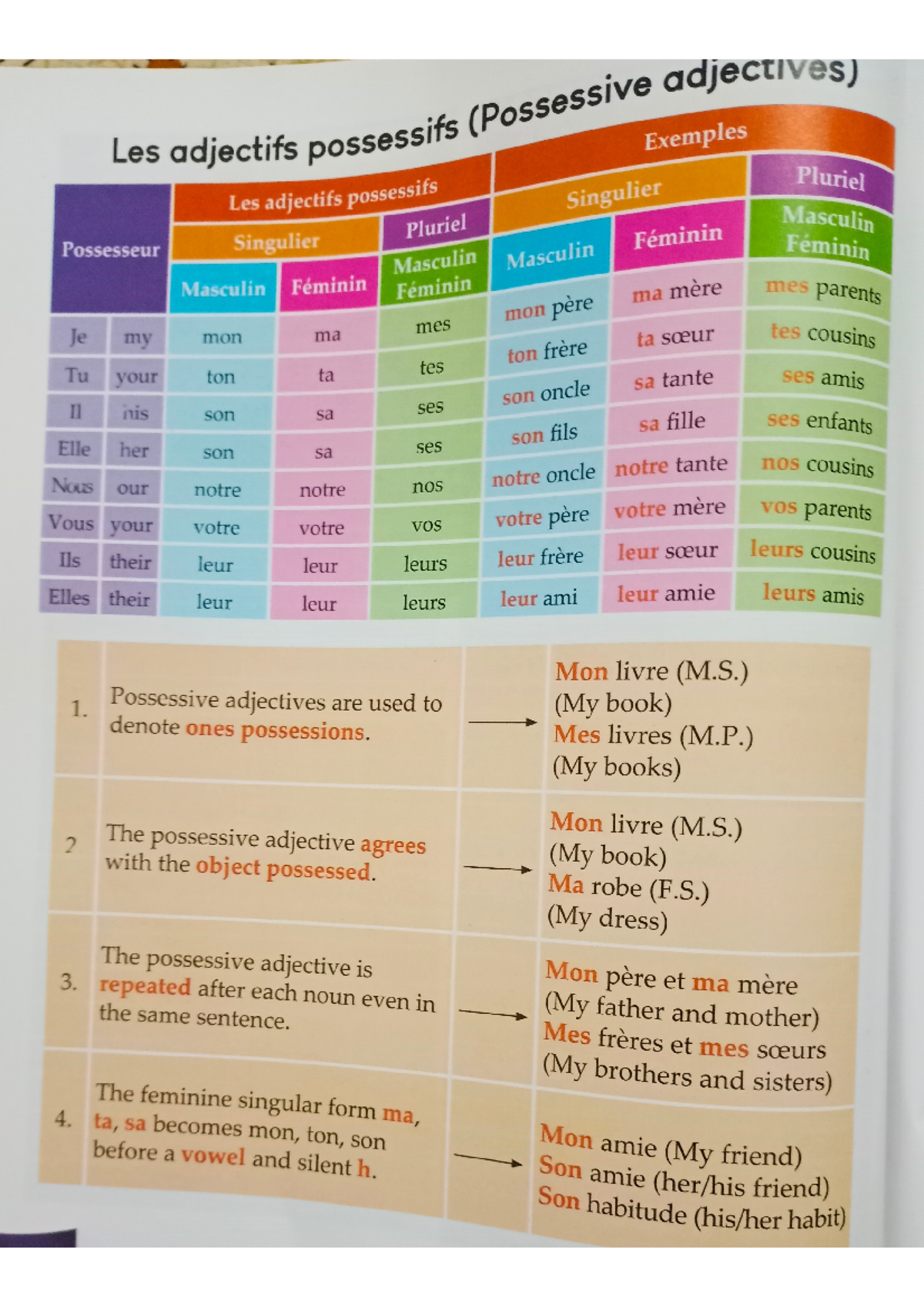 13-Nov-2024 french for beginners - Les adjectifs possessifs (Possessive ...