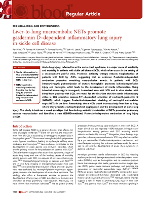 Adaptive Immunity (T cells) - Expansion 2. Contraction (effector cell ...