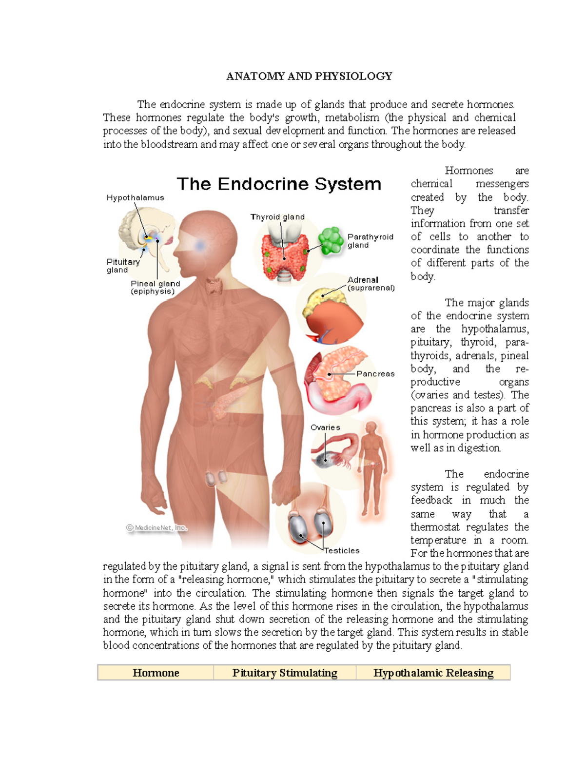 395150010-Anatomy-Physiology - ANATOMY AND PHYSIOLOGY The endocrine ...