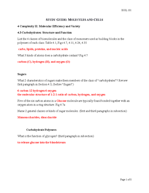 Race for the Double Helix Questions - “Race for the Double Helix ...
