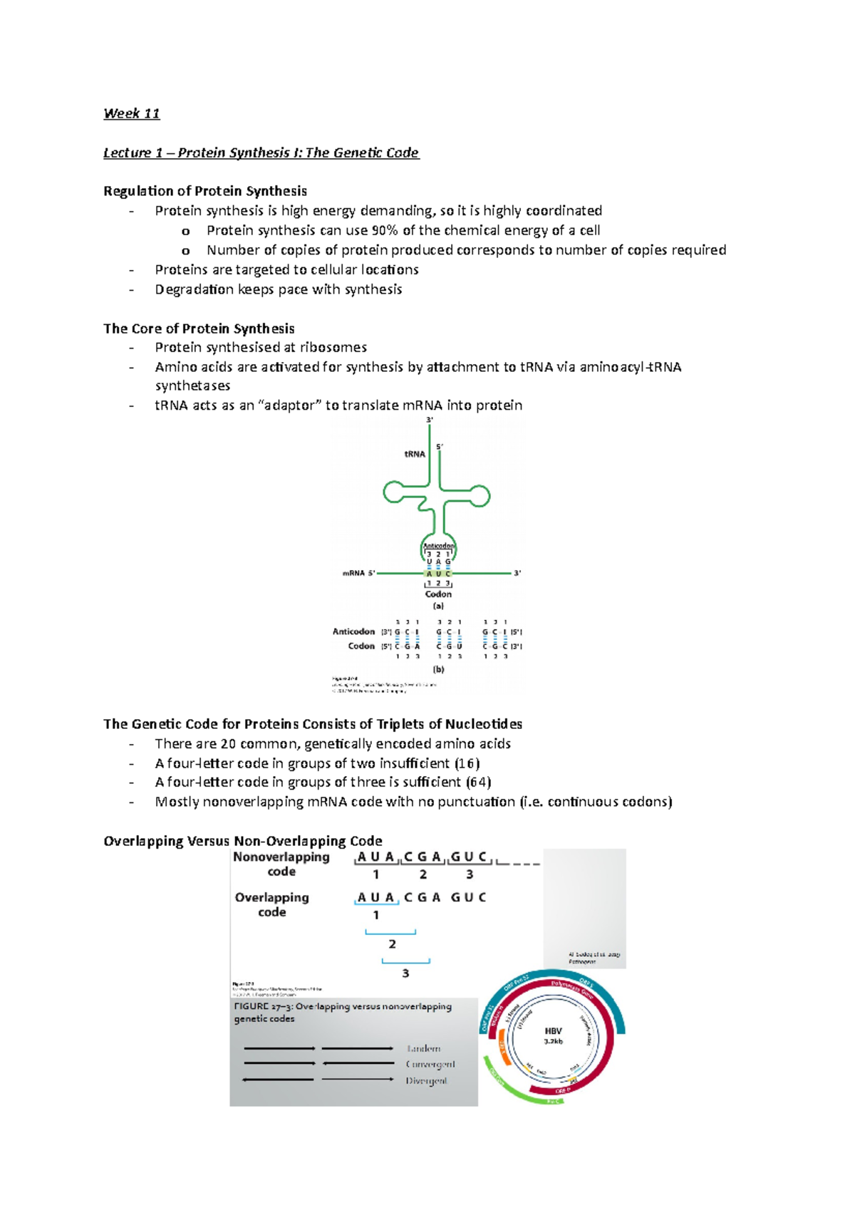 Week 11 - Lecture notes 11 - Week 11 Lecture 1 – Protein Synthesis I ...
