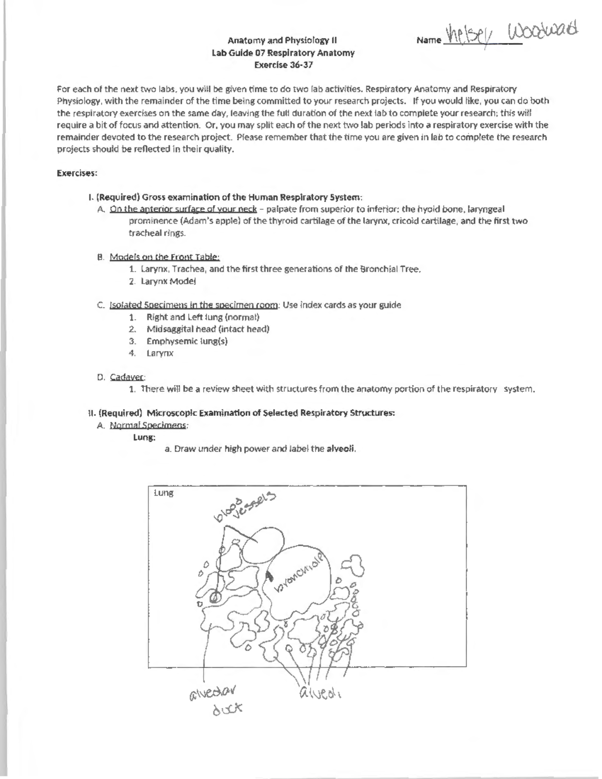 Respiratory Lab Document - BIO-173 - Kirkwood - Studocu