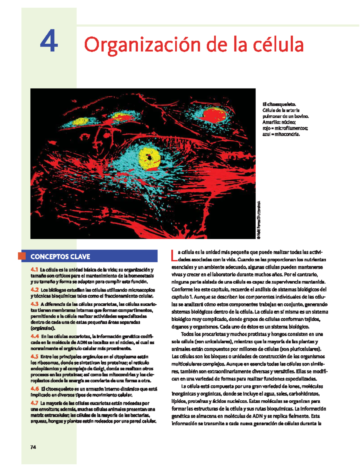 3. Organización de la Célula y Membranas Biológicas Solomon Berg Martin ...