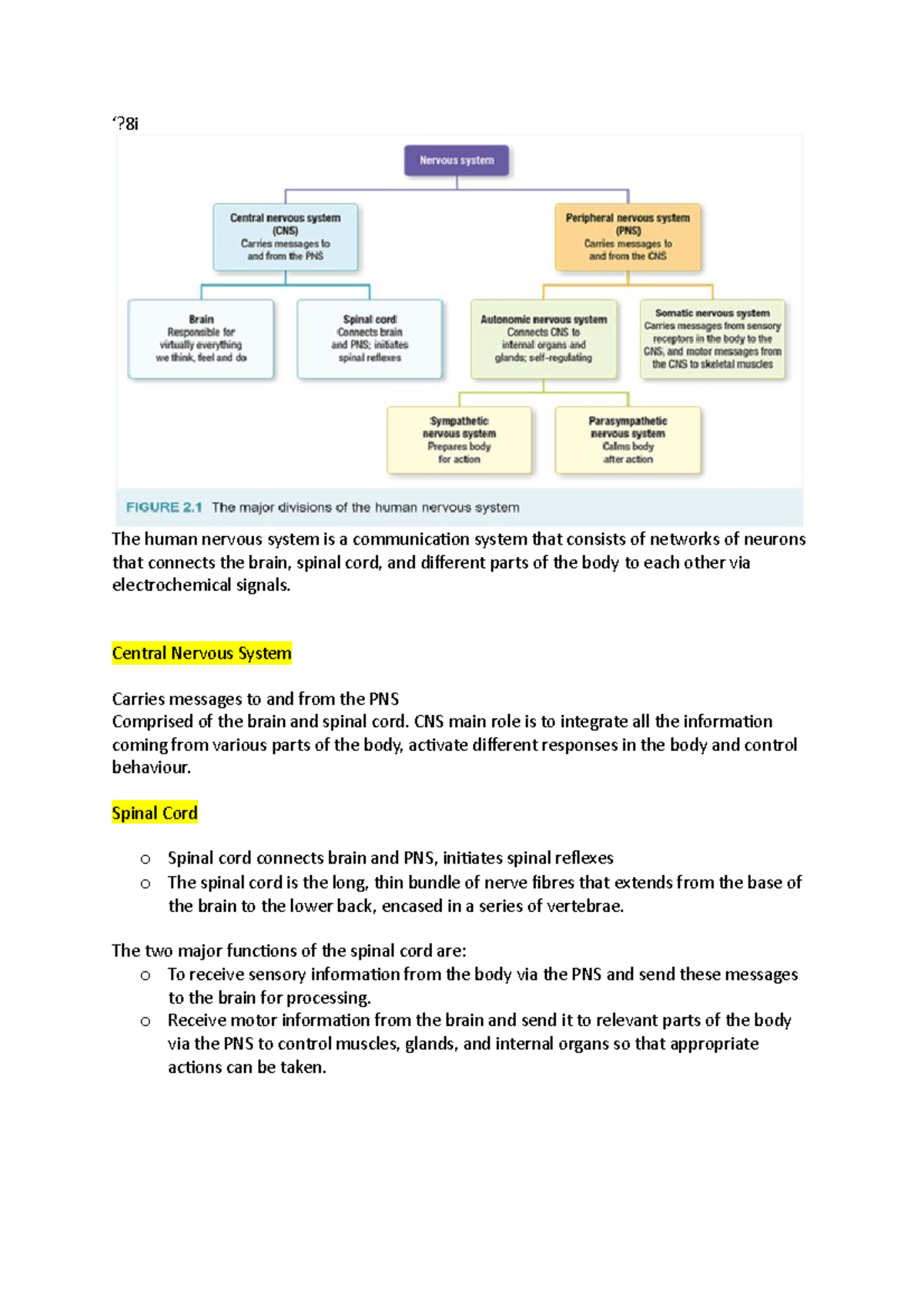 Psychology notes VCE notes unit 3, neural info - Studocu
