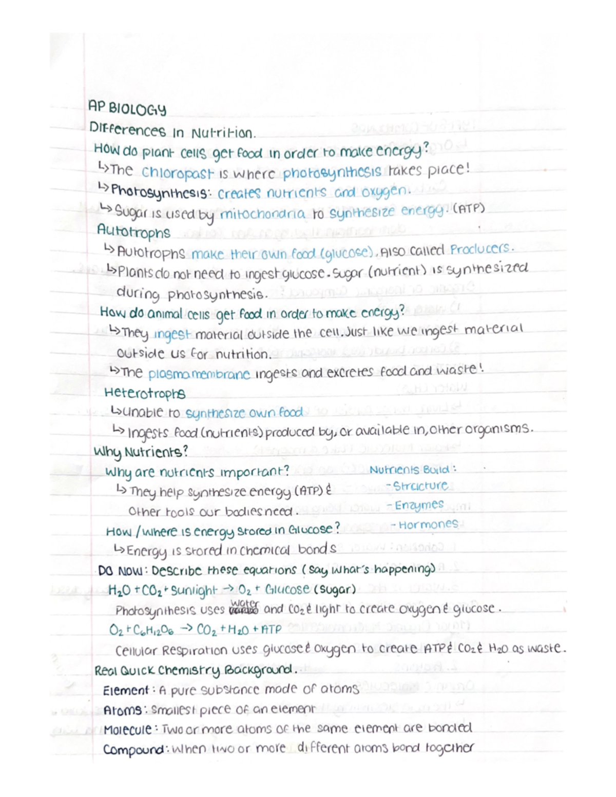 ap bio/chem notes - Studocu