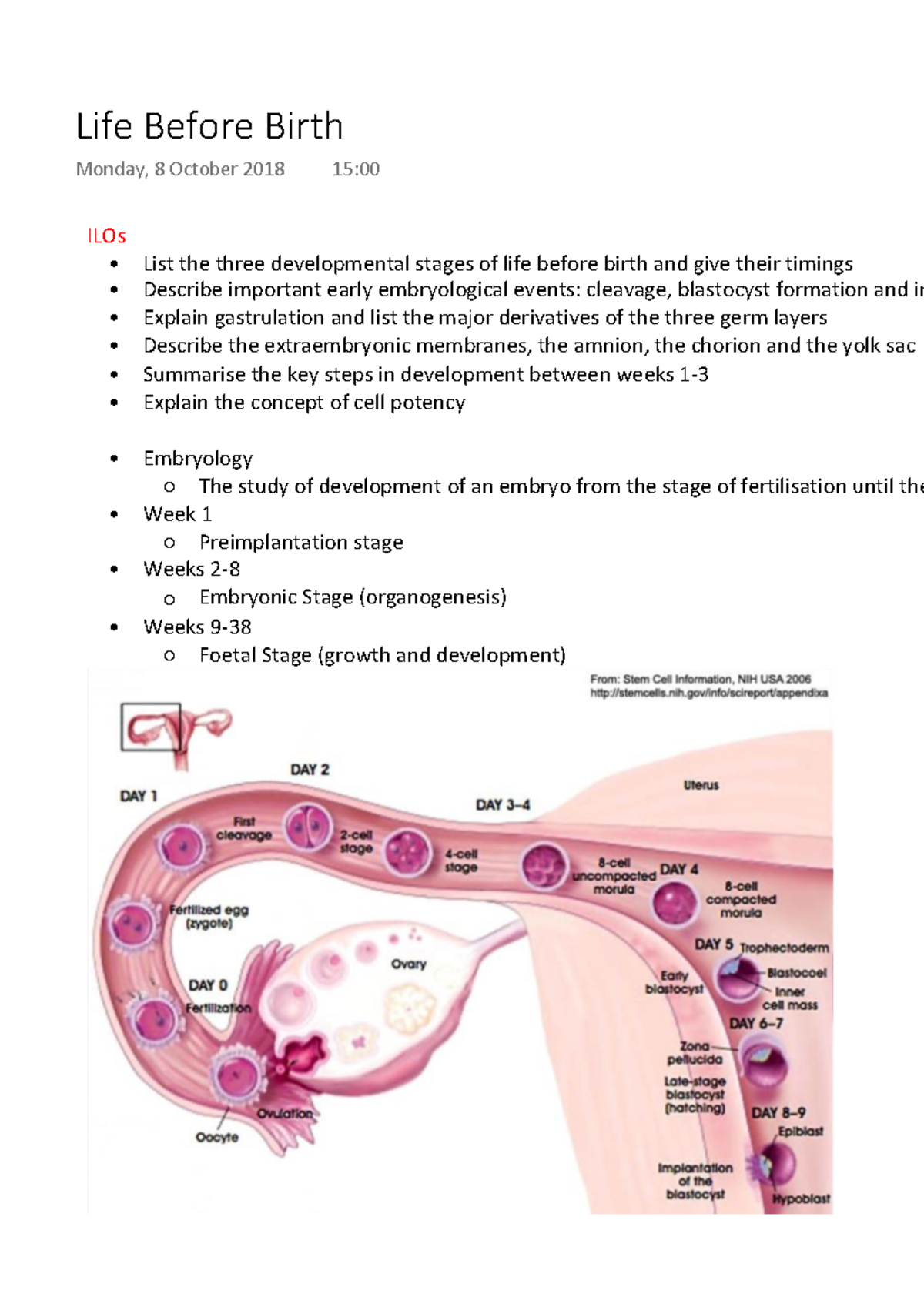 Life Before Birth - ILOs - List the three developmental stages of life ...