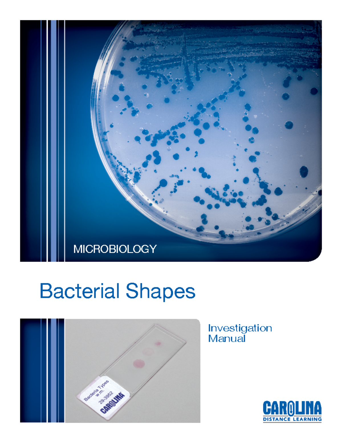 580792 Bacterial Shapes ADA-1 - MICROBIOLOGY Bacterial Shapes ...