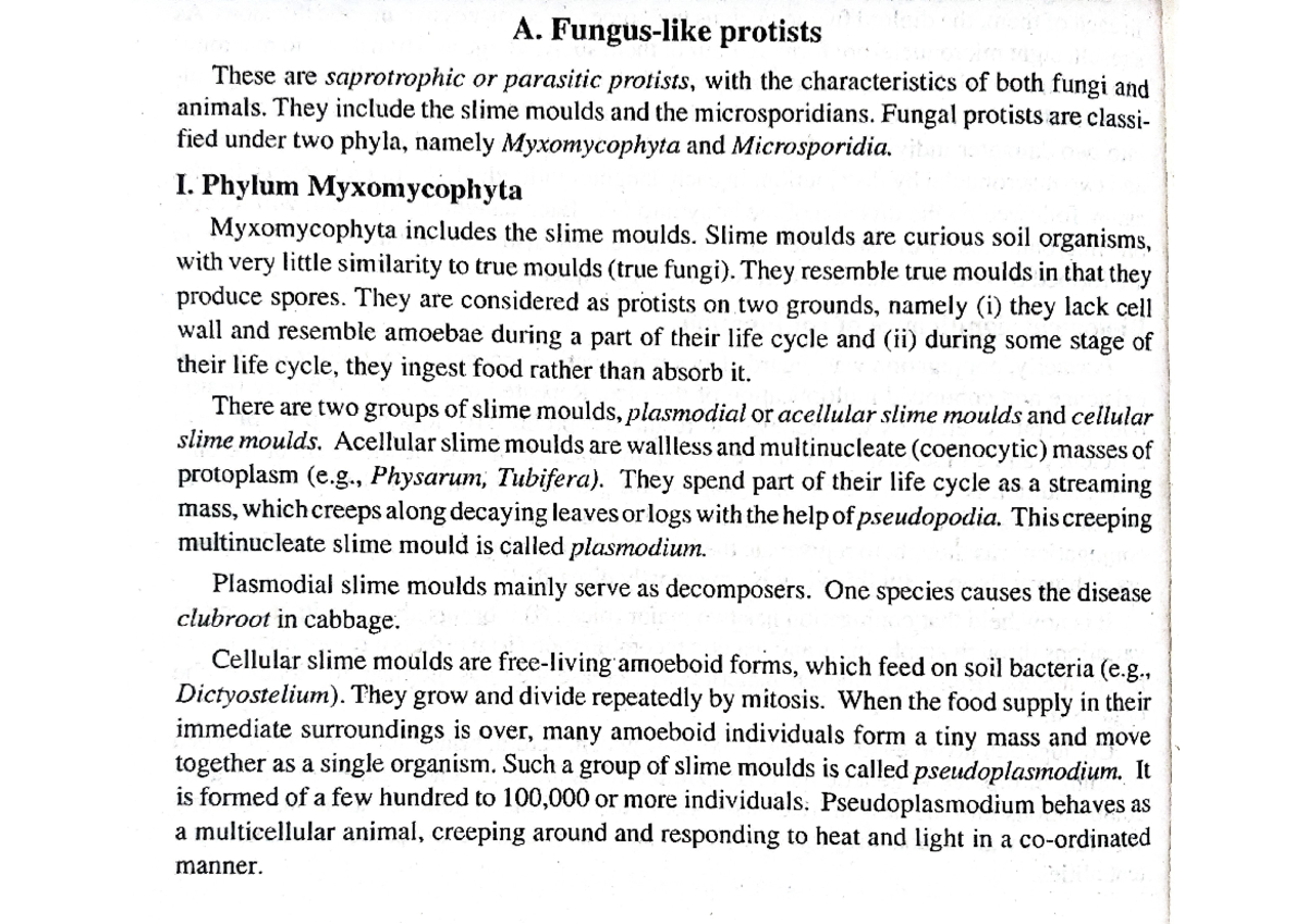 A)Fungus-like protists - Zoology - Studocu