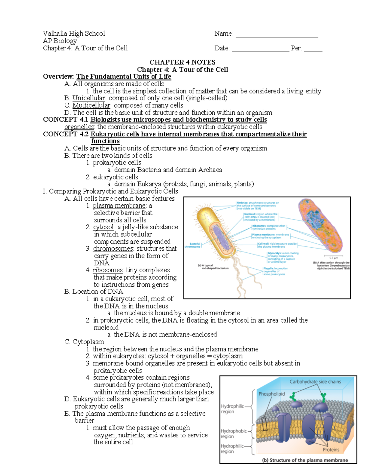 AP Biology Chapter 4 Notes - Valhalla High School Name ...
