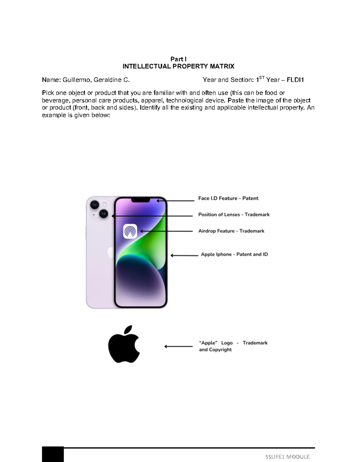 Guillermo IP Matrix and Pledge - AB- Consular and Diplomatic Affairs ...
