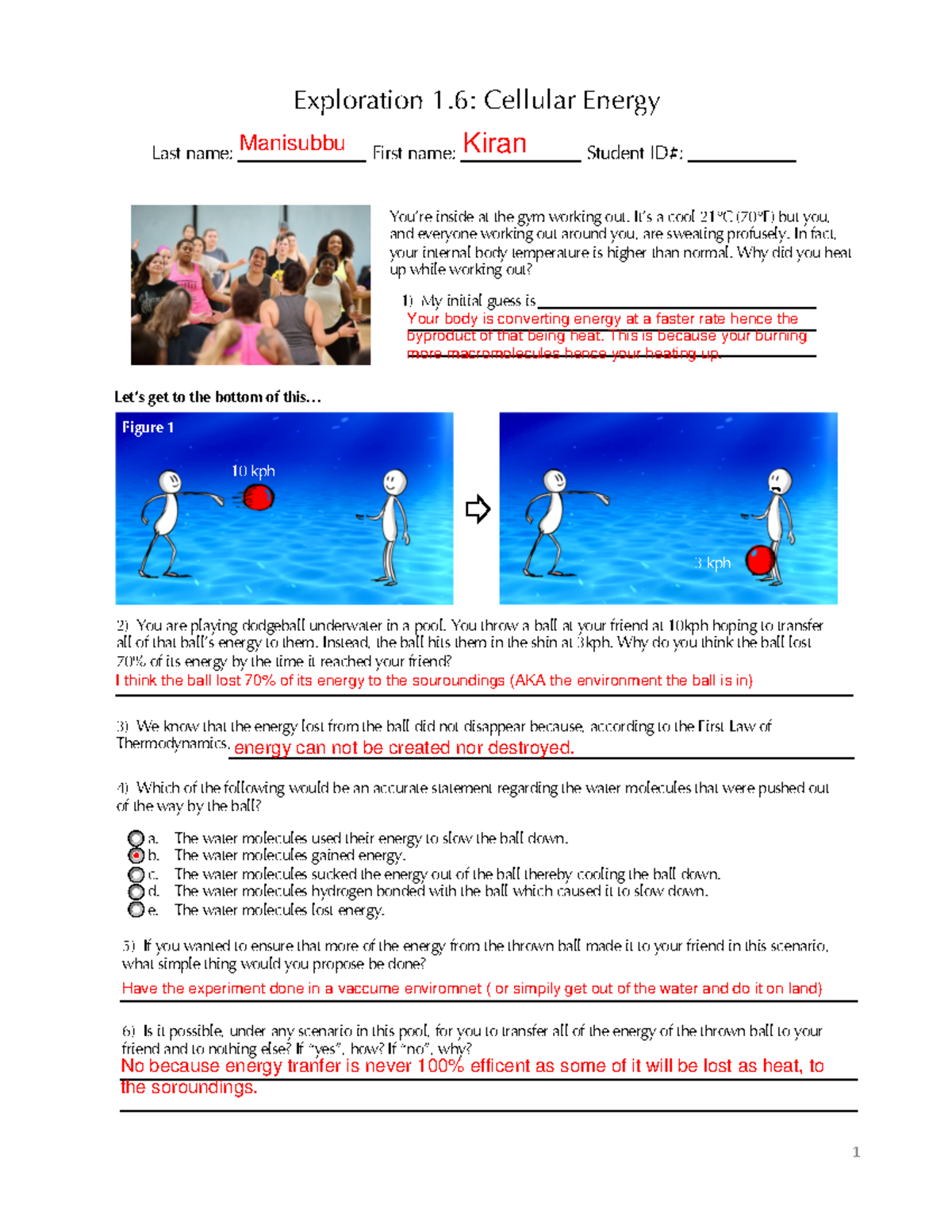 Exploration 1.6) Cellular Energy Manisubbu - 1 Last name: First name ...