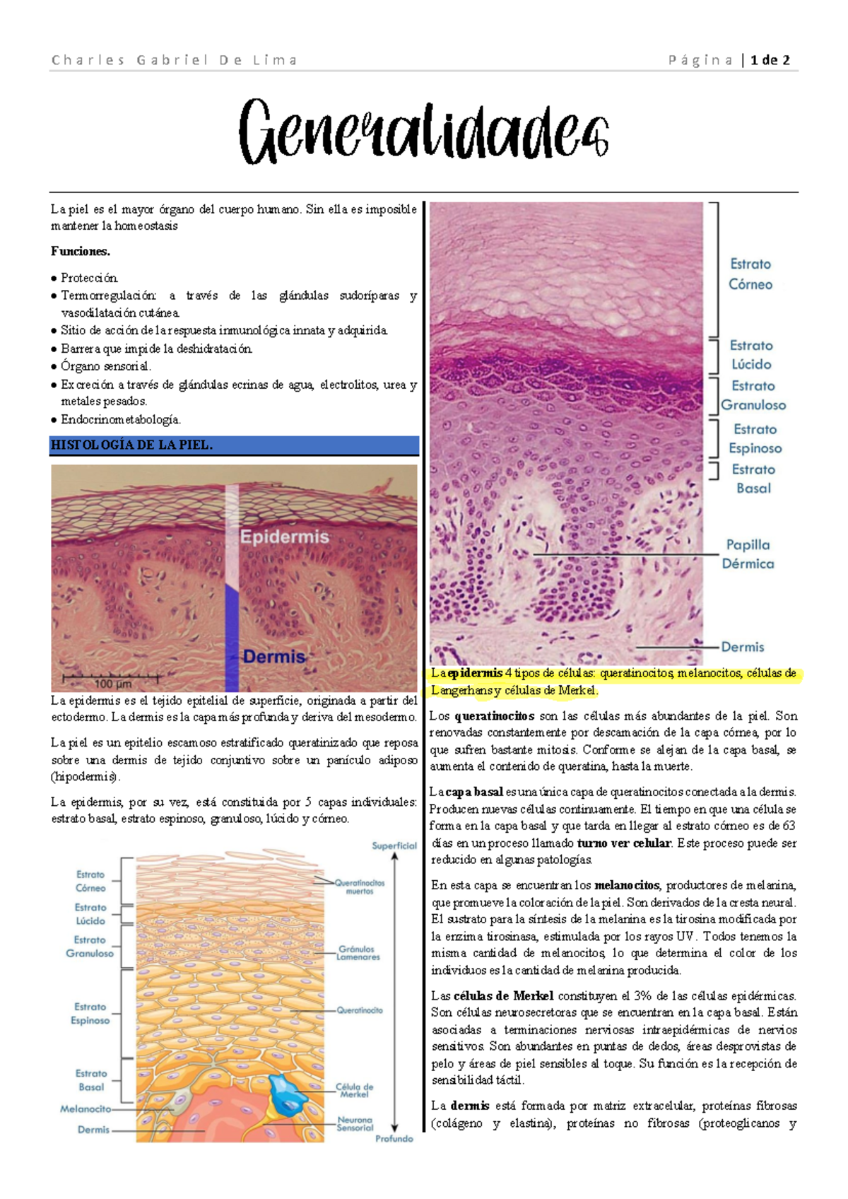 Resumo 1ª Parcial - Gëñërålïdådës La piel es el mayor órgano del cuerpo ...
