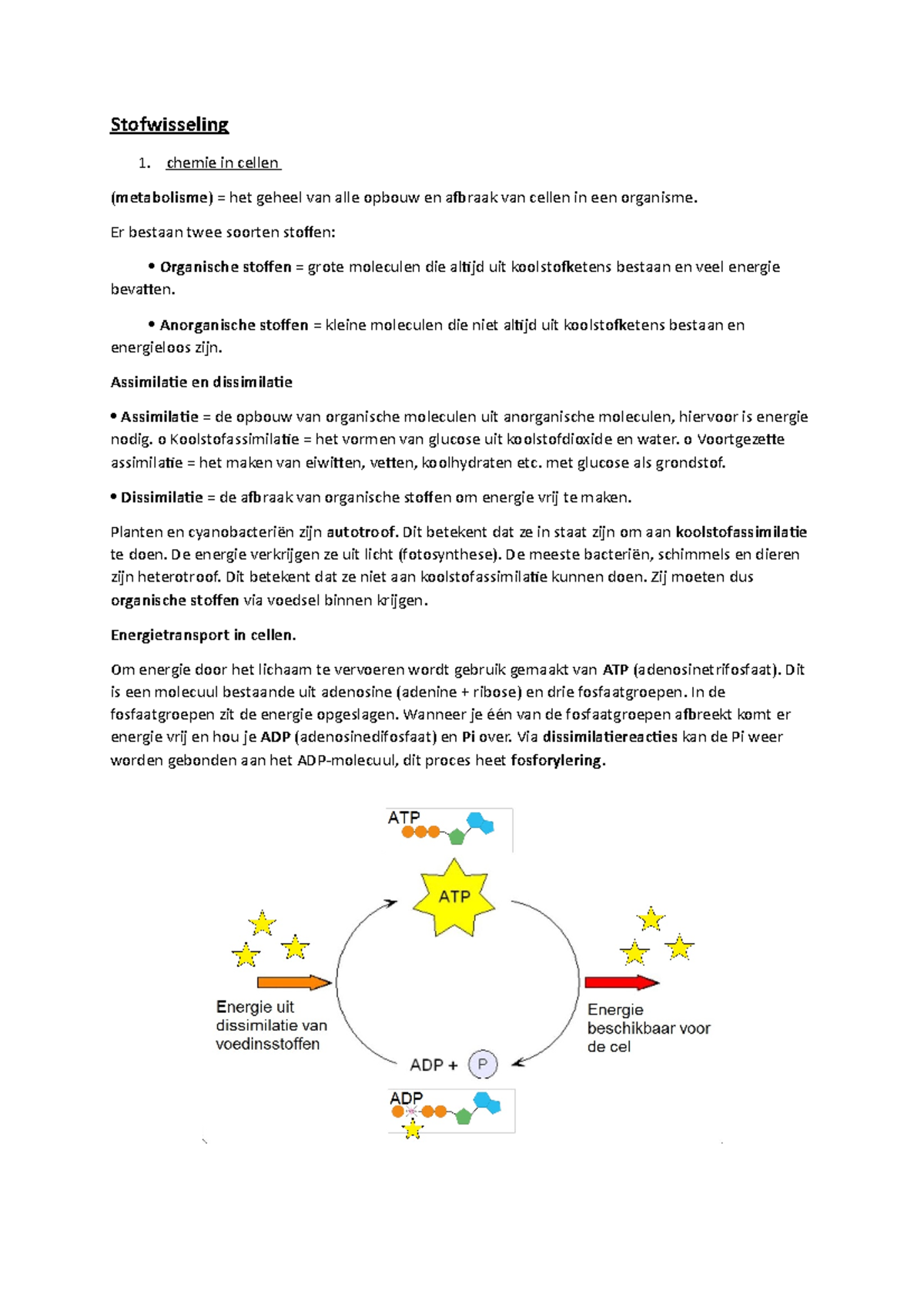 Stofwisseling - Stofwisseling chemie in cellen (metabolisme) = het ...