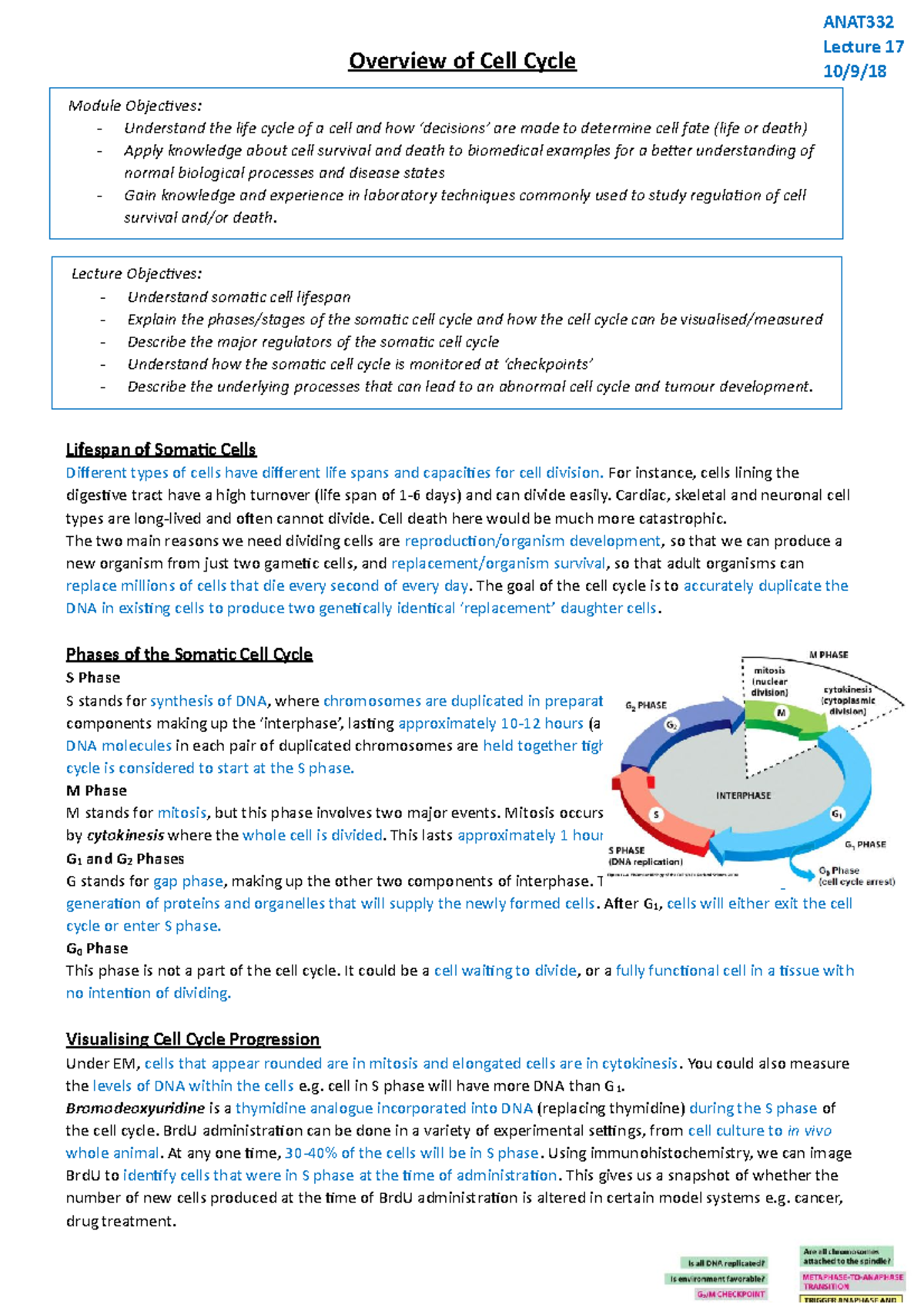 Lecture 17 - Overview of Cell Cycle - Overview of Cell Cycle Lifespan ...