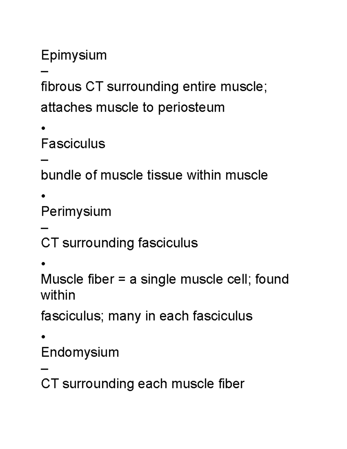 Epimysium - Notes - Epimysium fibrous CT surrounding entire muscle ...