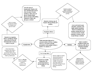 Postpartum Perineal Care - ACTIVE LEARNING TEMPLATES THERAPEUTIC ...