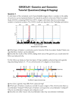 Lecture 1 Genetic Inheritance - From Mendel to molecules - Gregor ...
