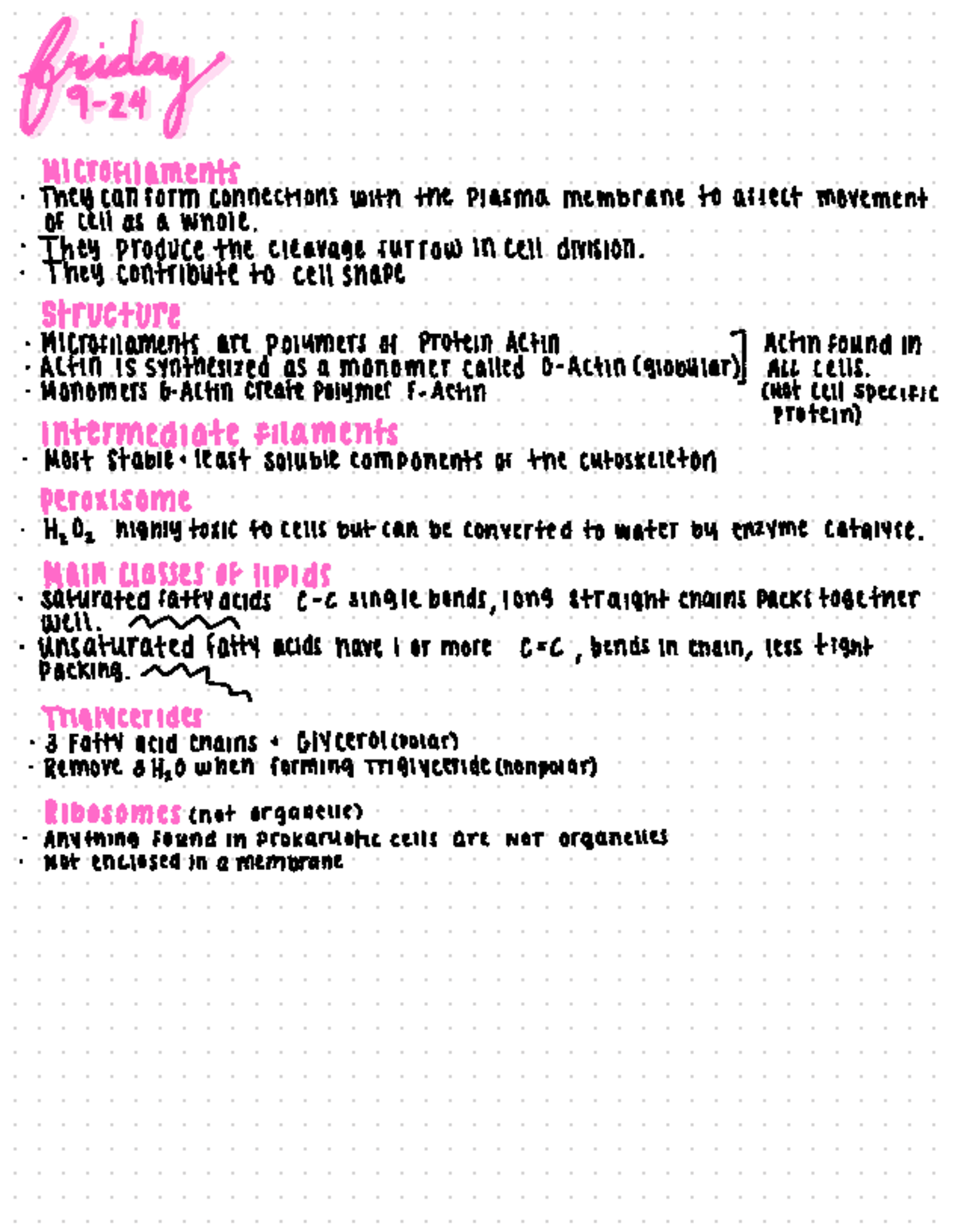 Cell & Molec 3 - Notes from lecture - Friday 9- 24 Microfilaments ...