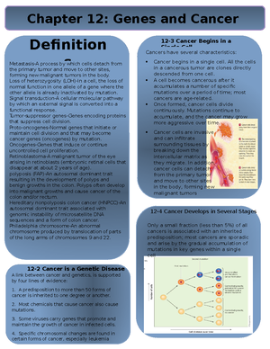 EEG Lab Report Form - Fill out worksheet - EEG LAB REPORT Your Name ...