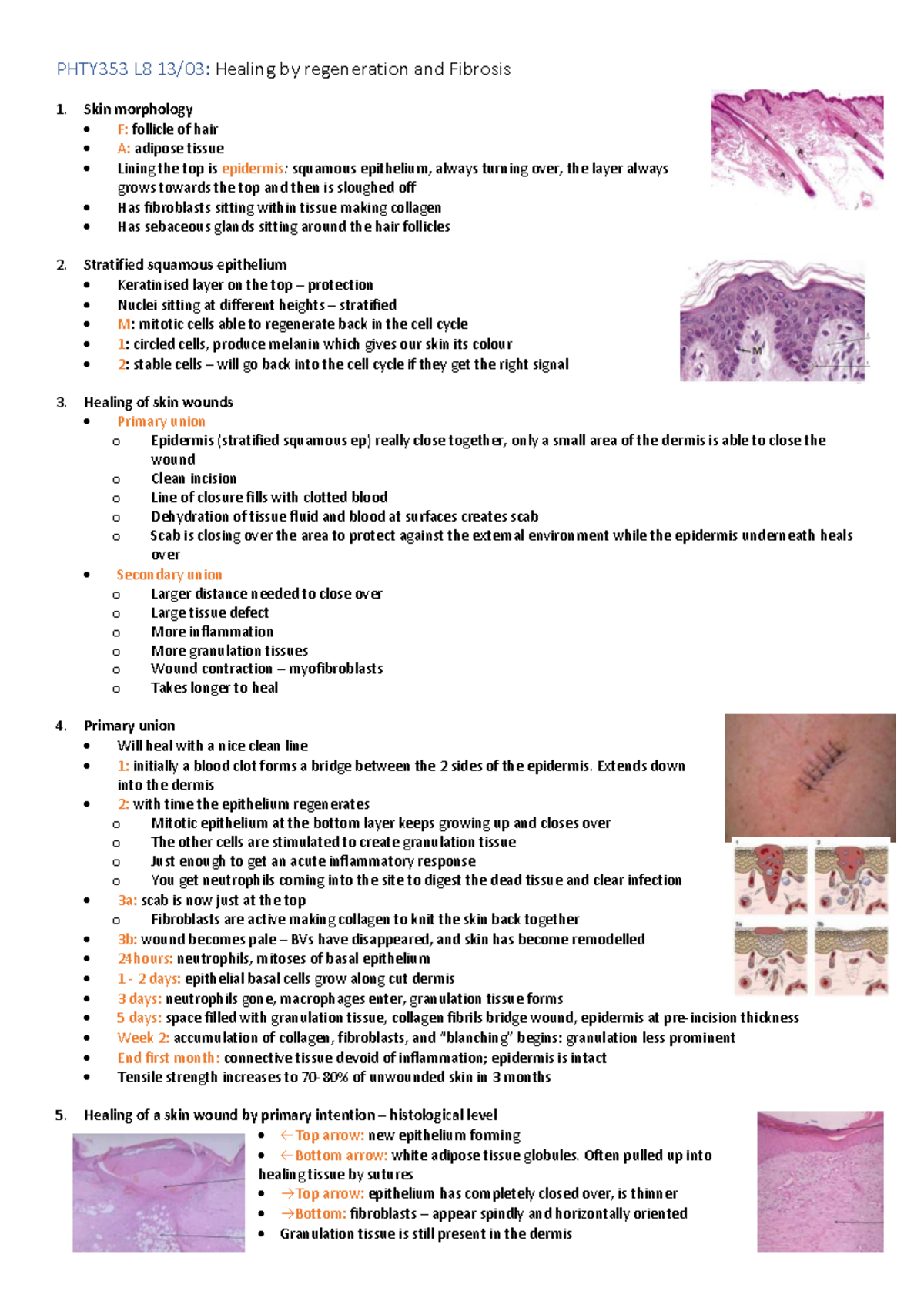 Pathology for Physiotherapy Lecture 8 - Warning: TT: undefined function ...