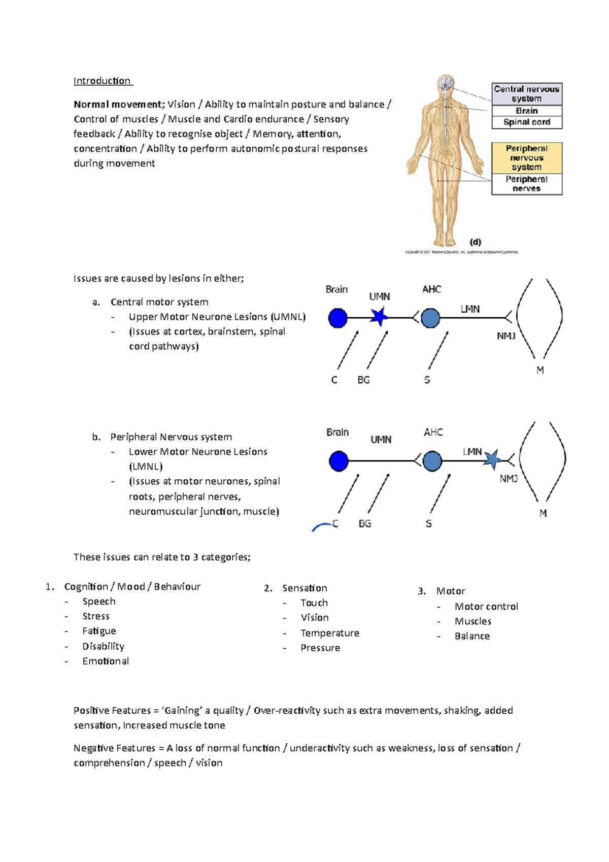 Introduction to neuro - Lecture notes 1-3 - Introduction Normal ...