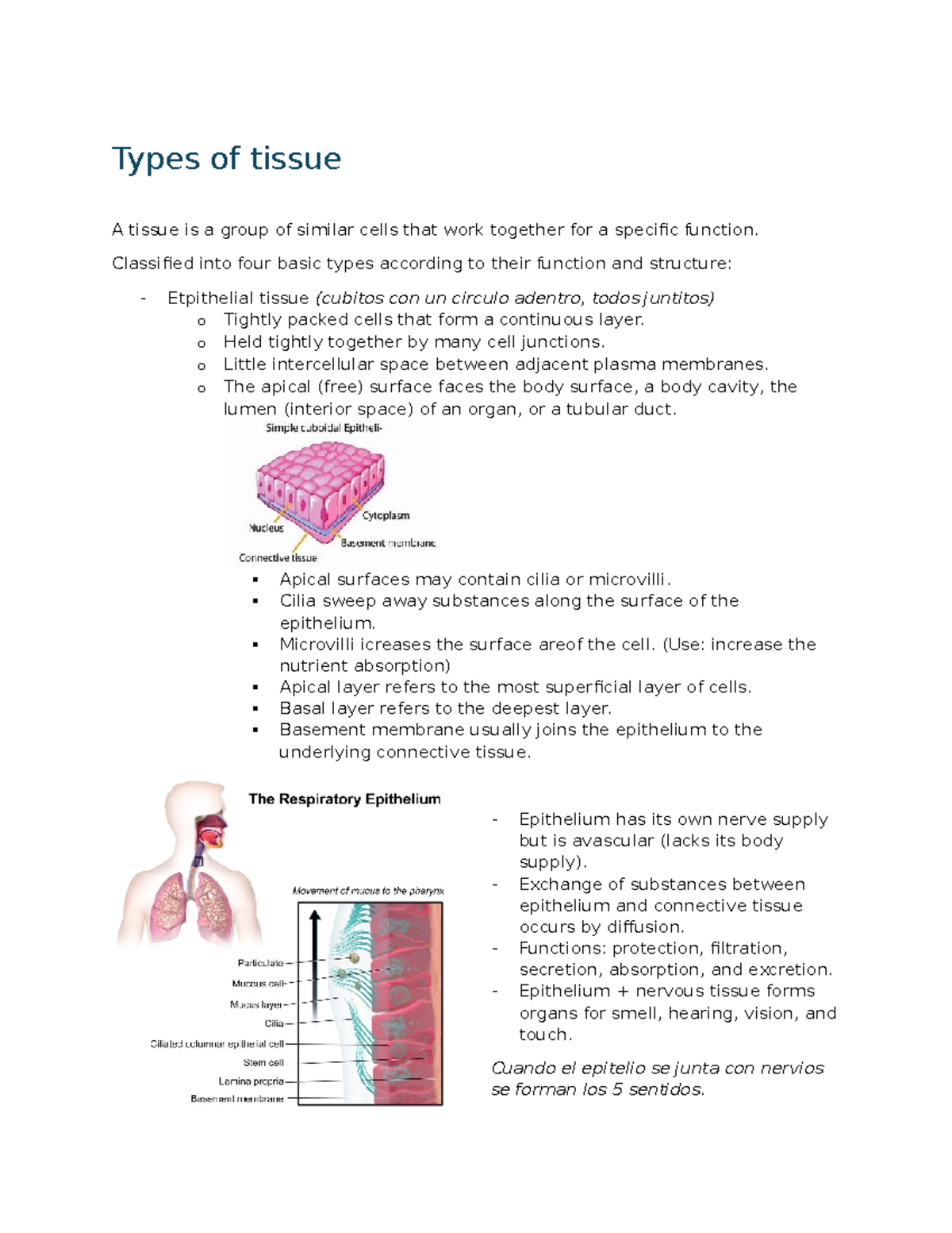 Types of tissue - Repaso primer tema. - Types of tissue A tissue is a ...